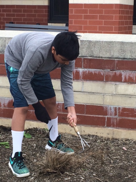 11 plants – Grover Middle School's Jagazine